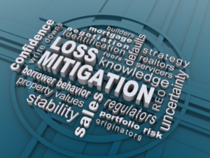 DEA Validation - Mushroom Solutions